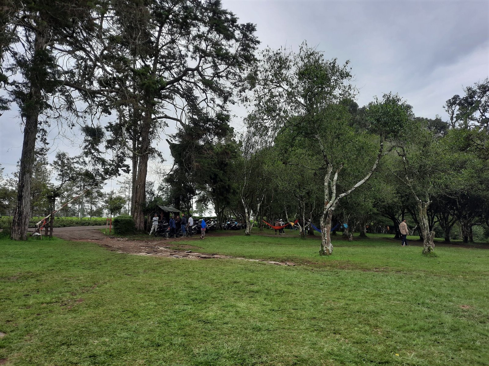 Kebun Teh Jangkung Malabar, Wisata yang Eksotis. - Blog si Kaki Palsu